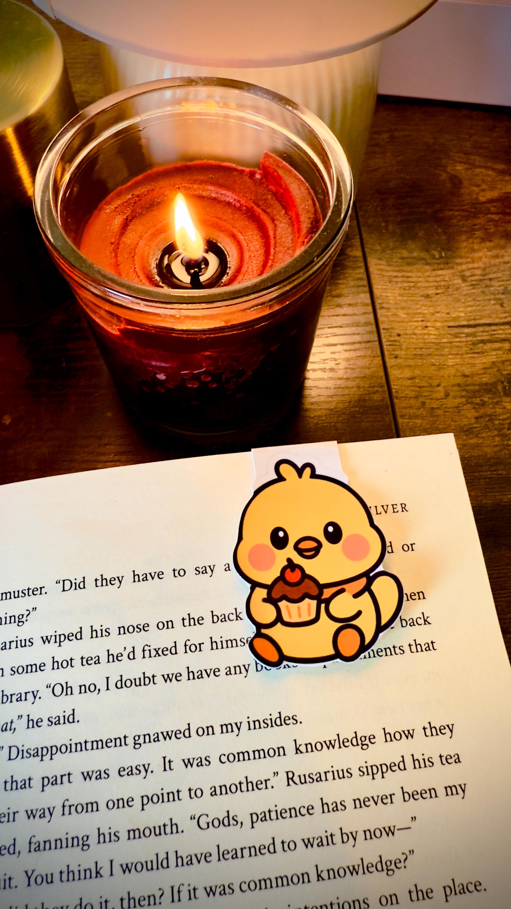 Magnetic Bookmarks for Stays Who Love Cozy Reading as Much as Their ...
