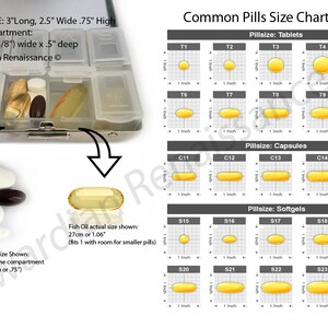 Crocodile Pill Box With 8 Compartments Inlaid in Hand Painted Bronze ...