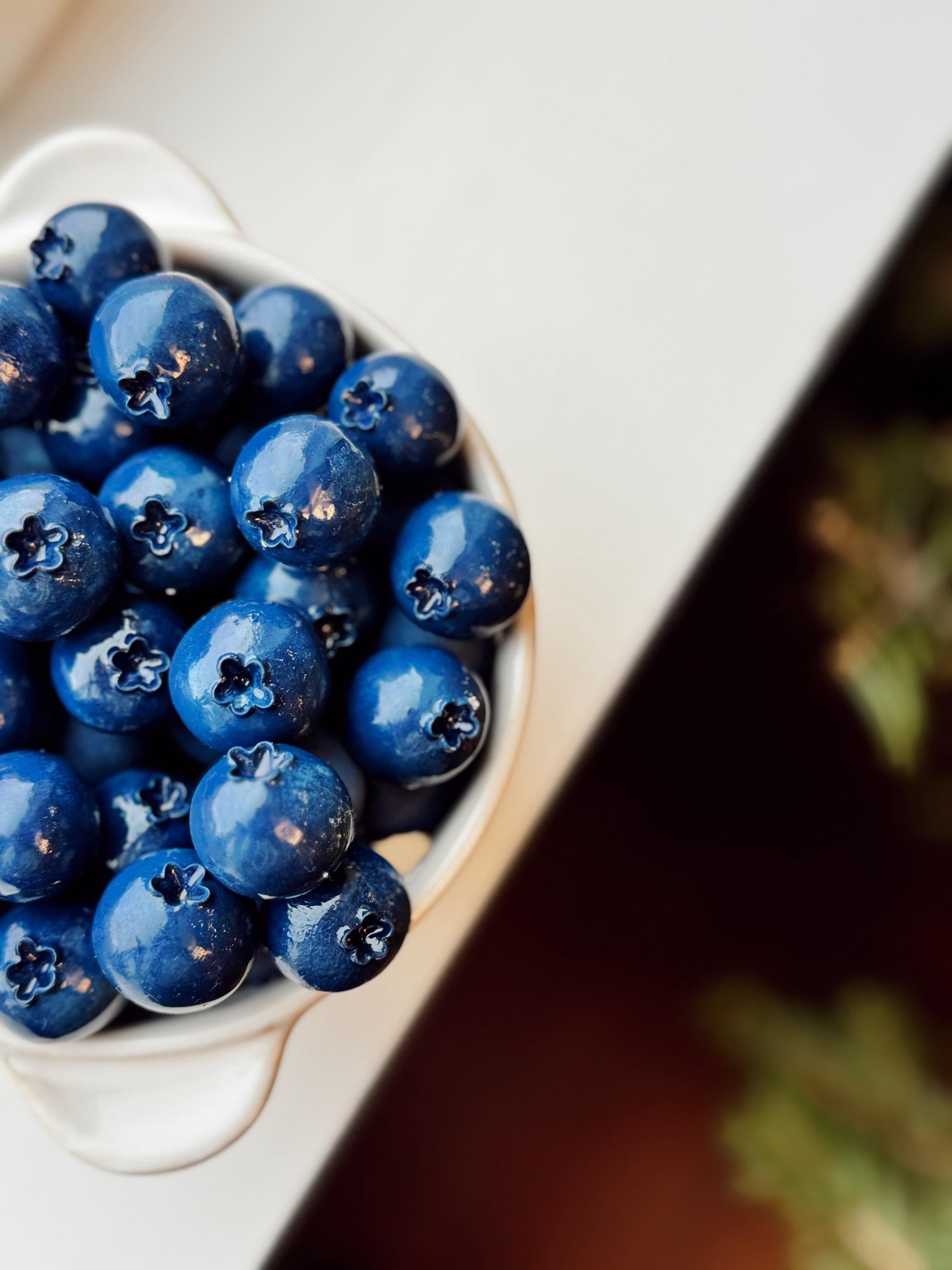 Handmade Blueberry Magnets – Fruit Refrigerator Décor, Kitchen ...