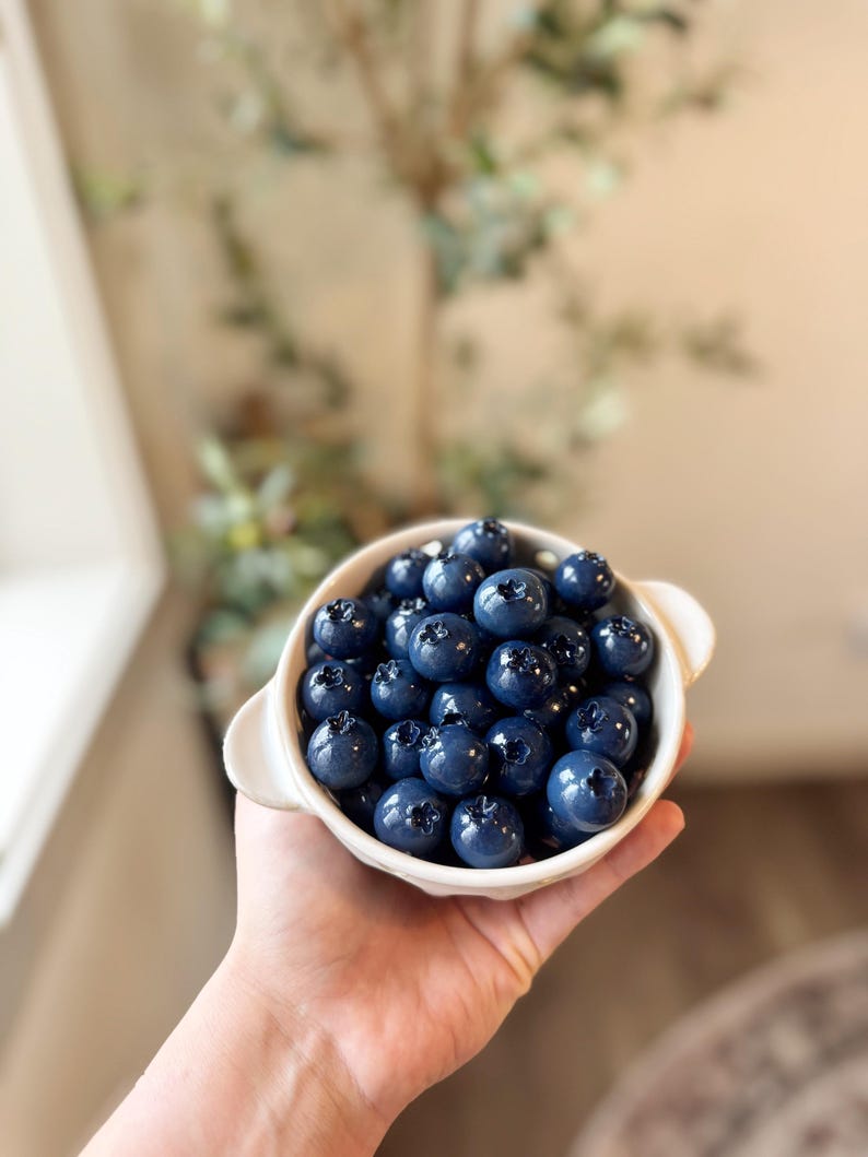 Handmade Blueberry Magnets – Fruit Refrigerator Décor, Kitchen ...