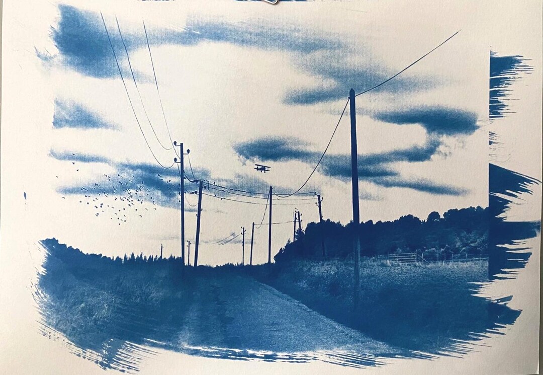 Cyanotype Landscape - Etsy