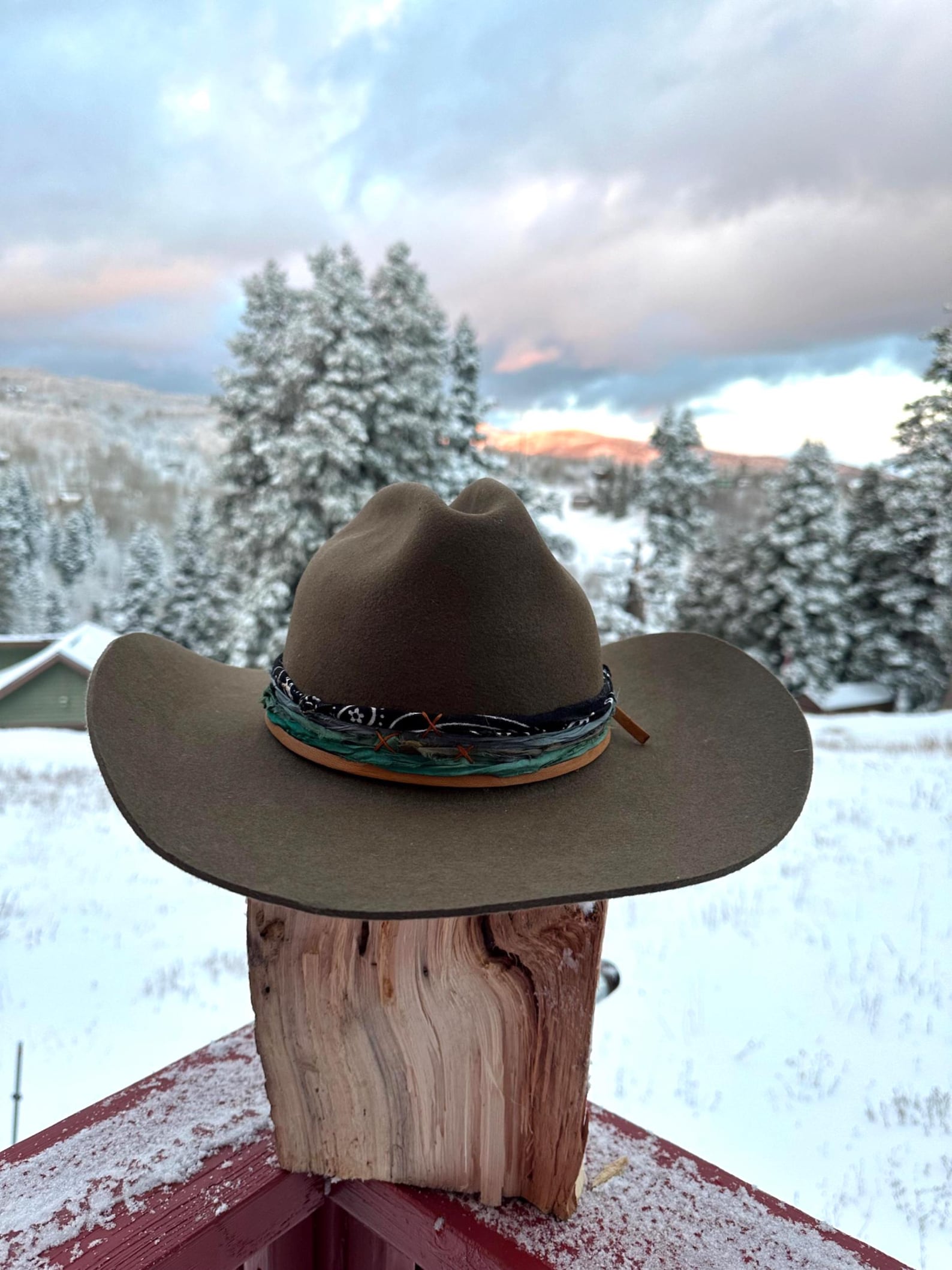 Beaver Rabbit Fur Felt Cowboy Hat With Leather Silk Band (medium/large ...