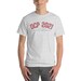 Disney College Program 2021 Shirt - Pink || DCP Shirt || Disney Cast ...