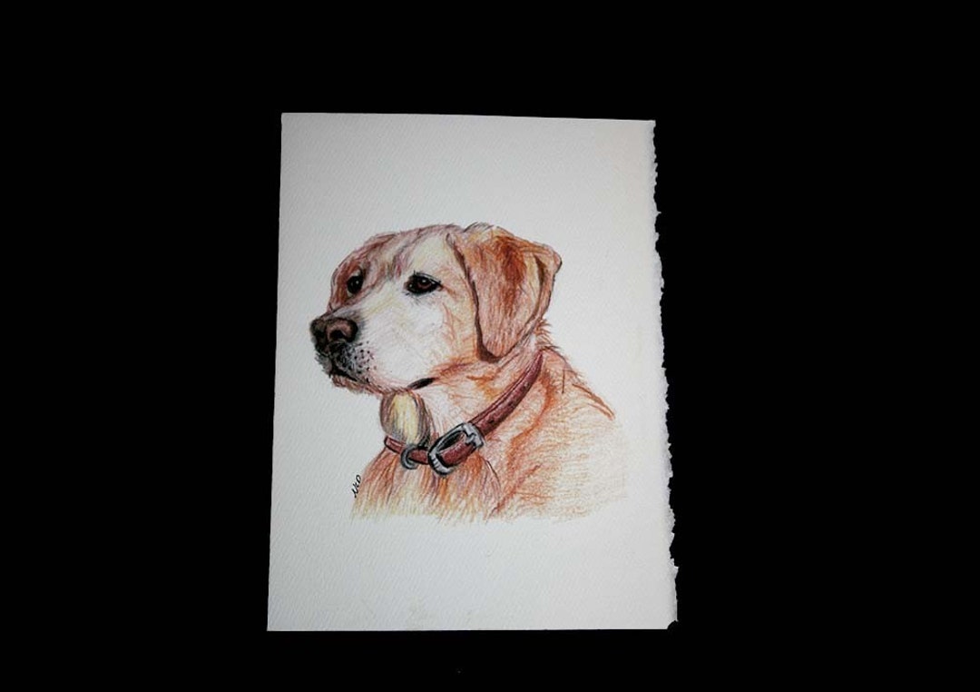 Blonde Lab Note Cards Labrador Retriever - Etsy
