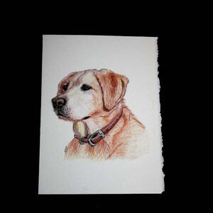 Blonde Lab Note Cards Labrador Retriever - Etsy