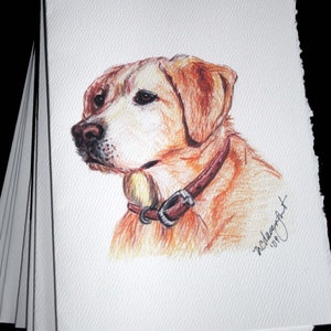 Blonde Lab Note Cards Labrador Retriever - Etsy