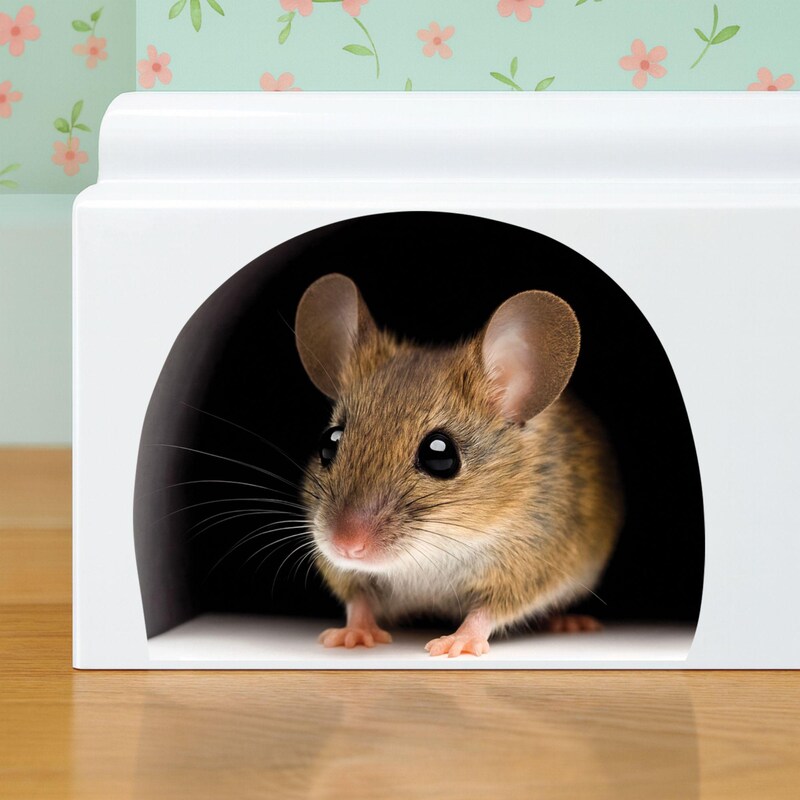 Mouse Hole - Etsy UK