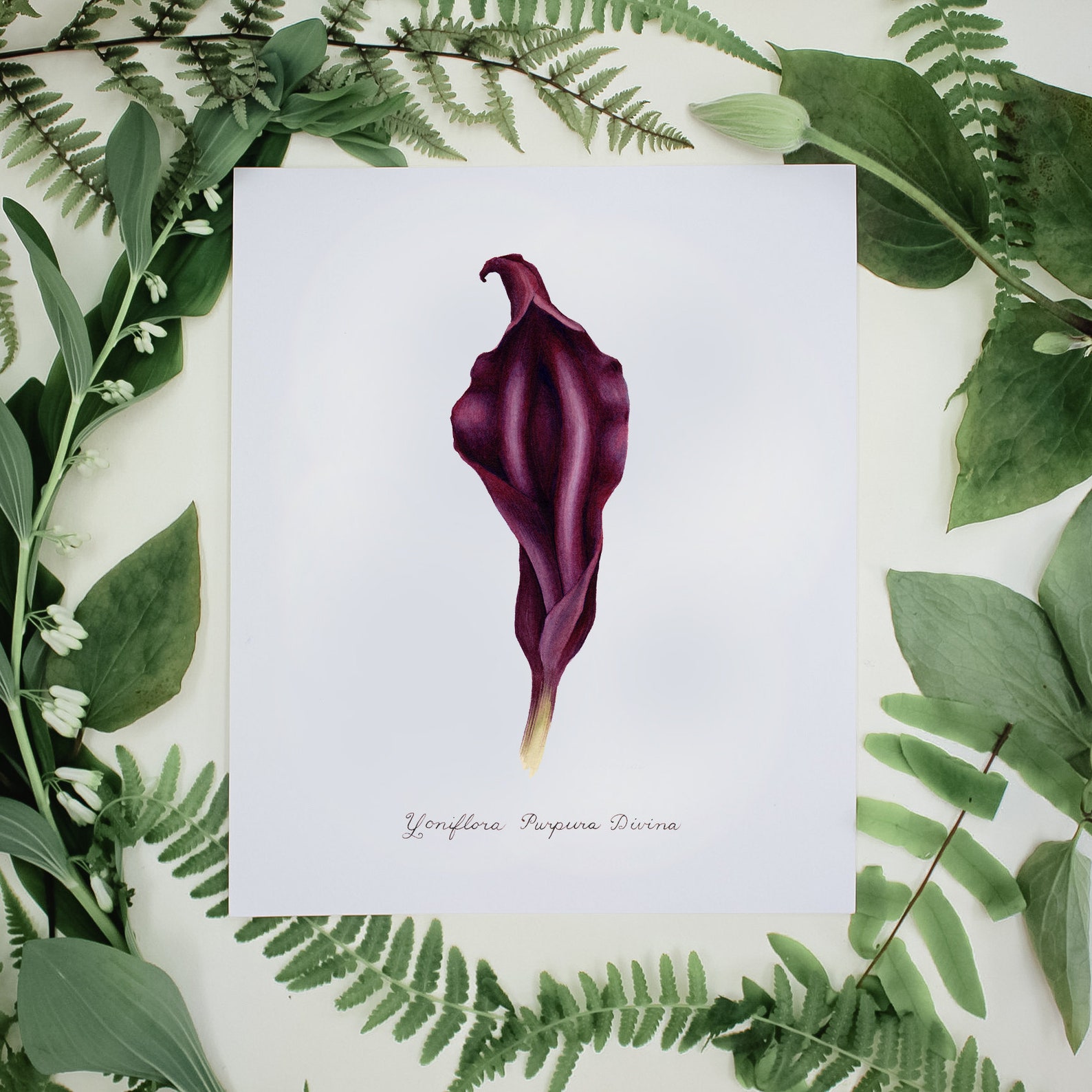 Purple "divine Yoni Flower" Fine Art Print / Feminist Botanical Lily ...