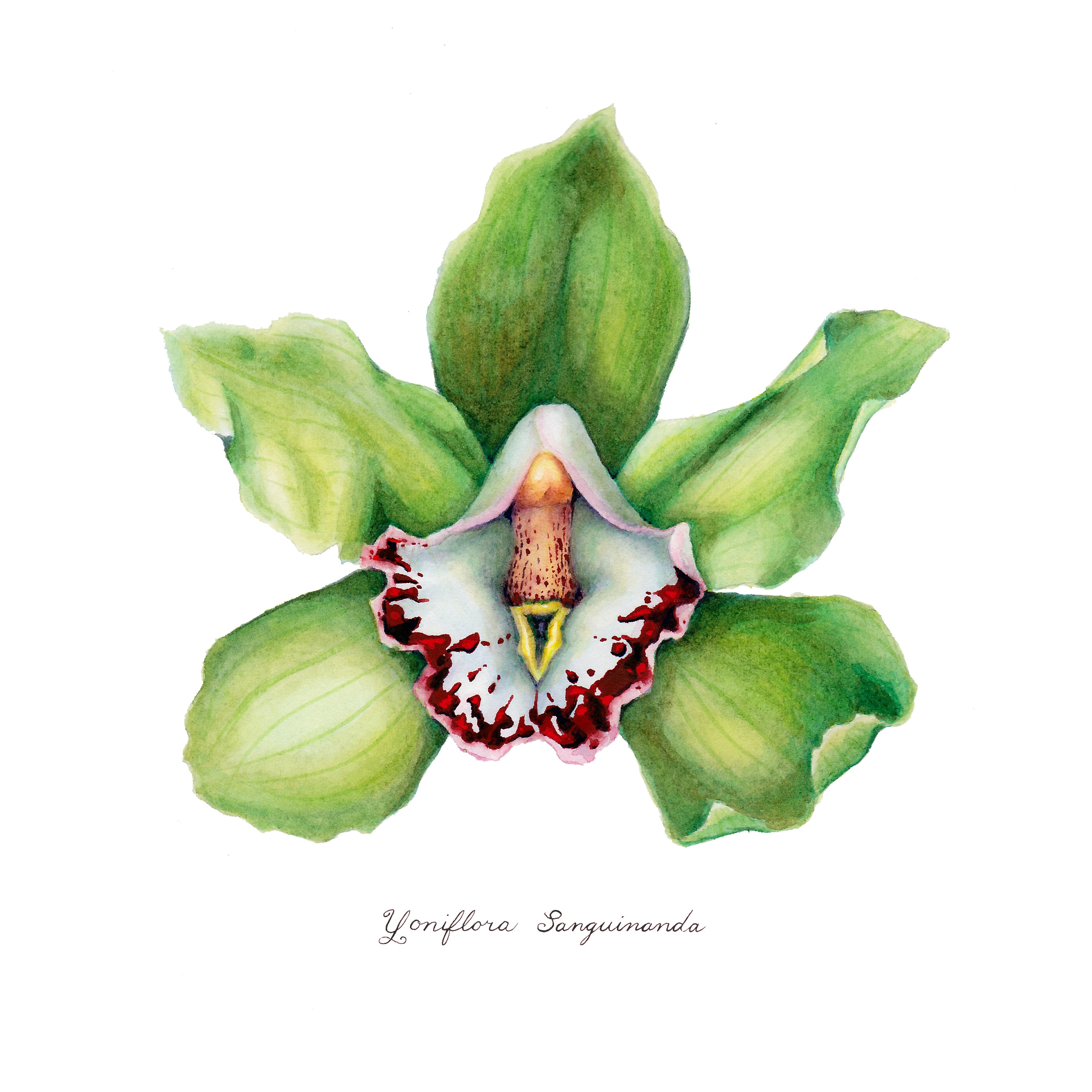 Green "bleeding Yoni Flower" Fine Art Print / Feminist Botanical ...