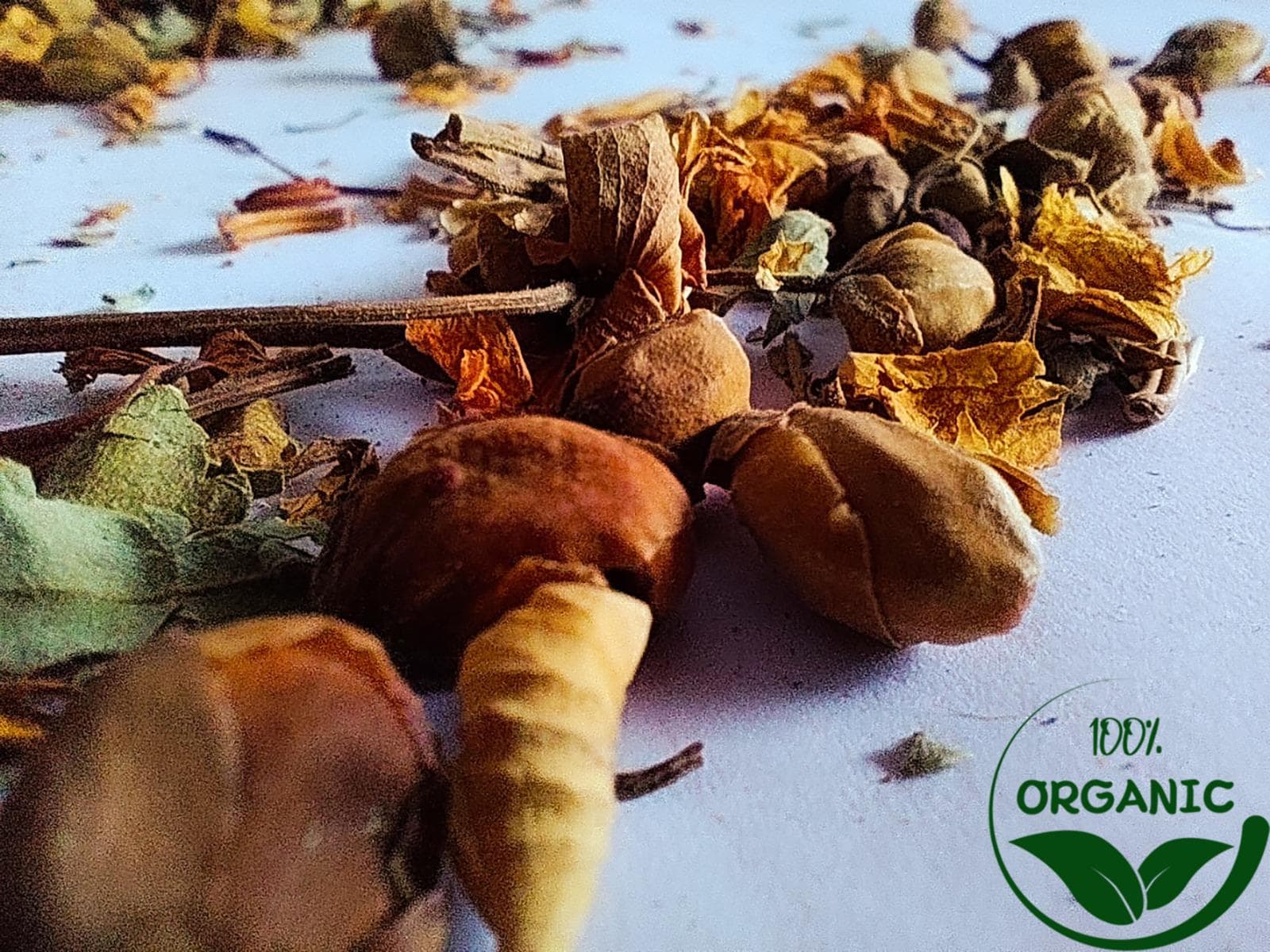 Dried Cassia Auriculata Flowers | Ranawara Herbal Tea - Etsy