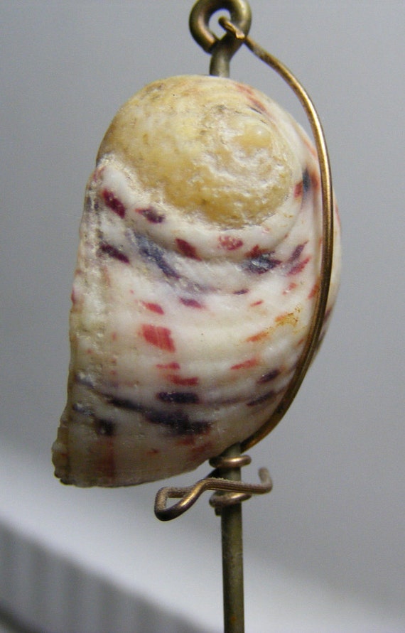 1880s Hat Pin Sea Shell Victorian Wire Work Brass Sha… - Gem