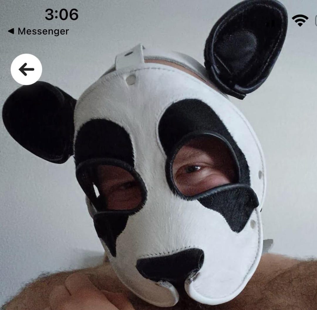 Bear Masks. Panda, Brown, Black and More - Etsy