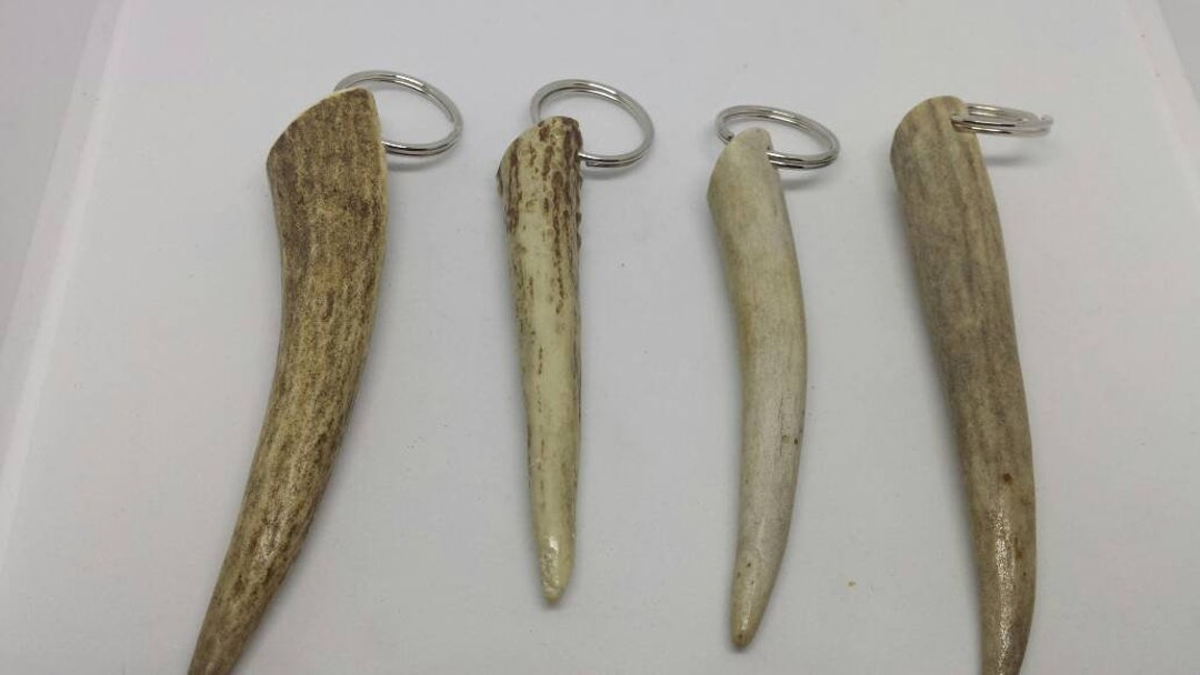 3 Keyrings With Real Deer Antler Tips - Etsy