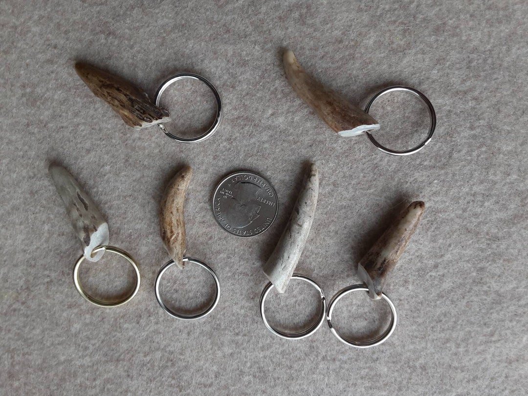 3 Deer Antler Tip Key Chains 1 Inch Split Ring - Etsy