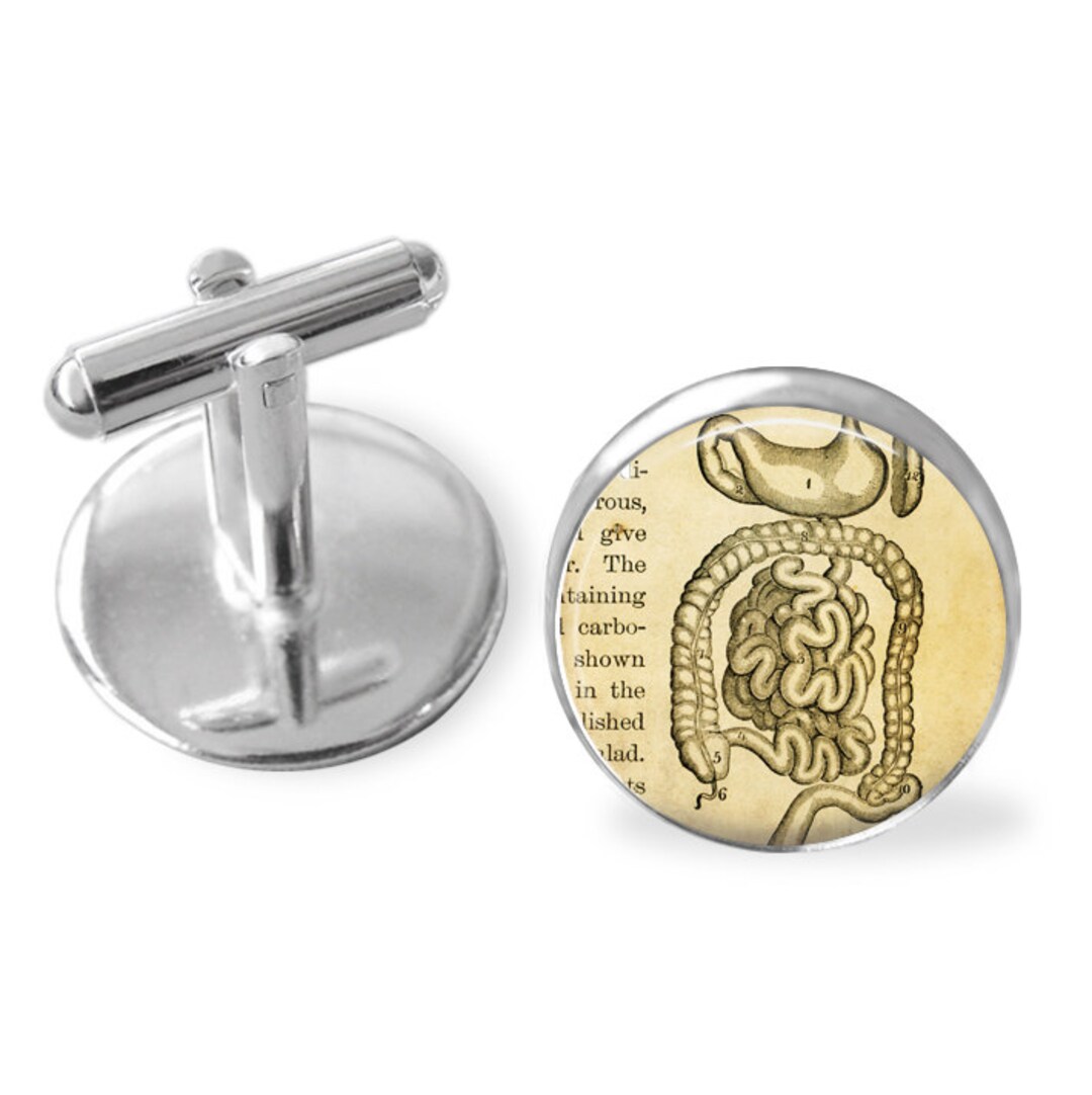 VINTAGE ANATOMY Digestive Tract Cufflinks / Digestive System Cuff Links ...