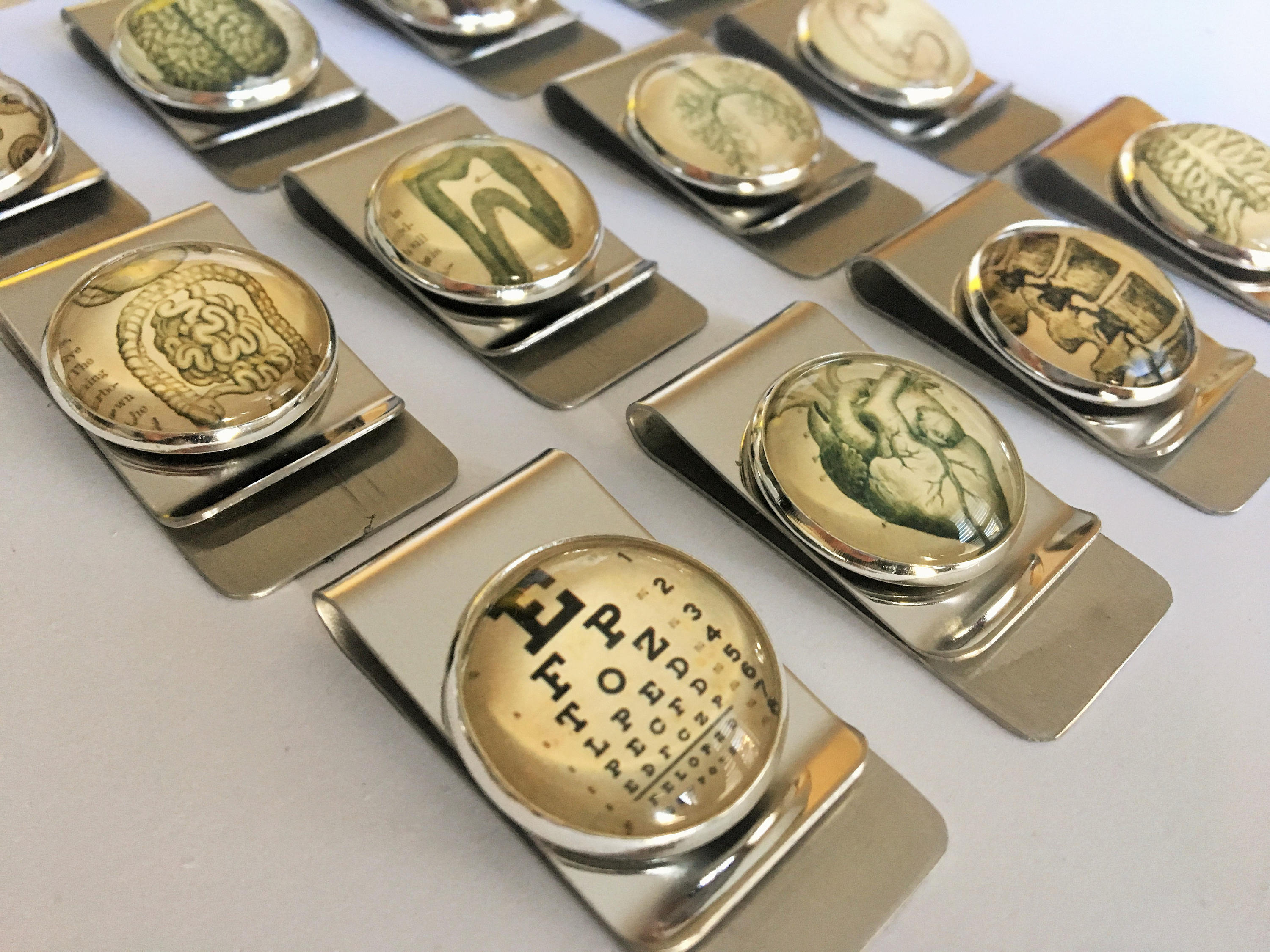 ANATOMY MONEY CLIP / Gift for Doctor / Medical Field Gift / Tooth Lungs ...