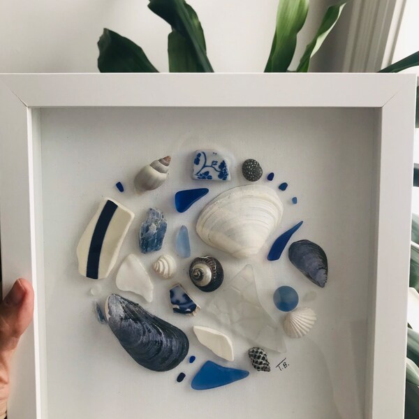 Seashell Shadow Box - Etsy