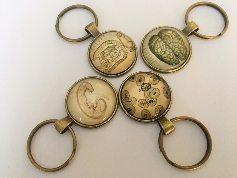 ANATOMY KEYCHAIN / Gift for Doctor / Medical Field Gift / - Etsy