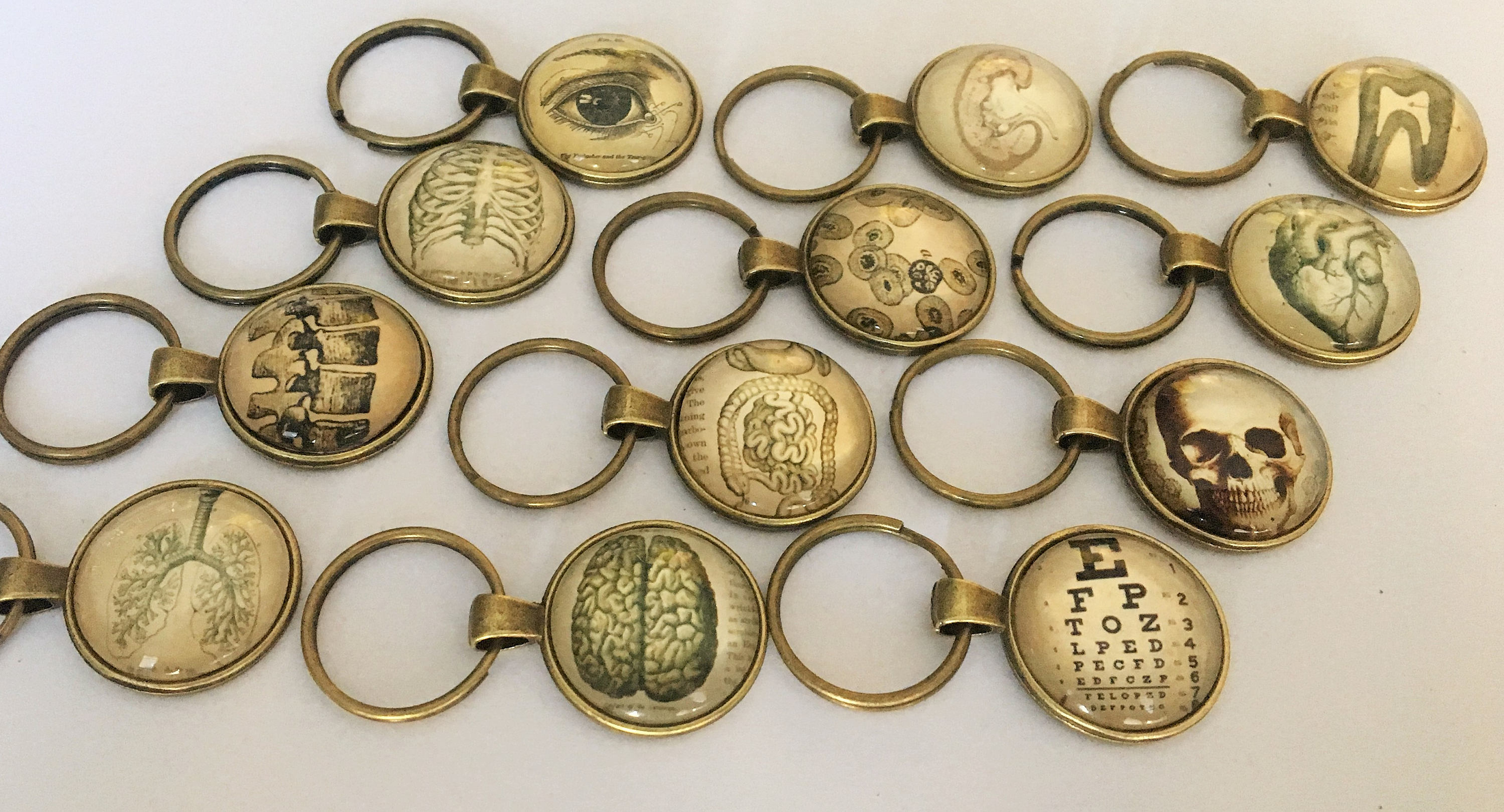 ANATOMY KEYCHAIN / Gift for Doctor / Medical Field Gift / | Etsy