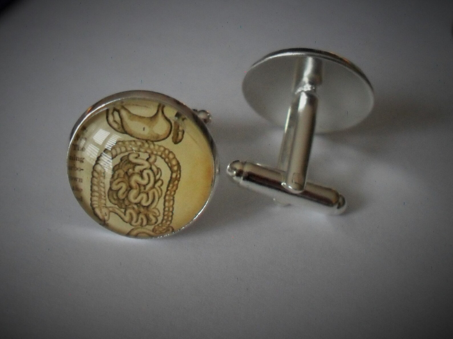 VINTAGE ANATOMY Digestive Tract Cufflinks / Digestive System Cuff Links ...