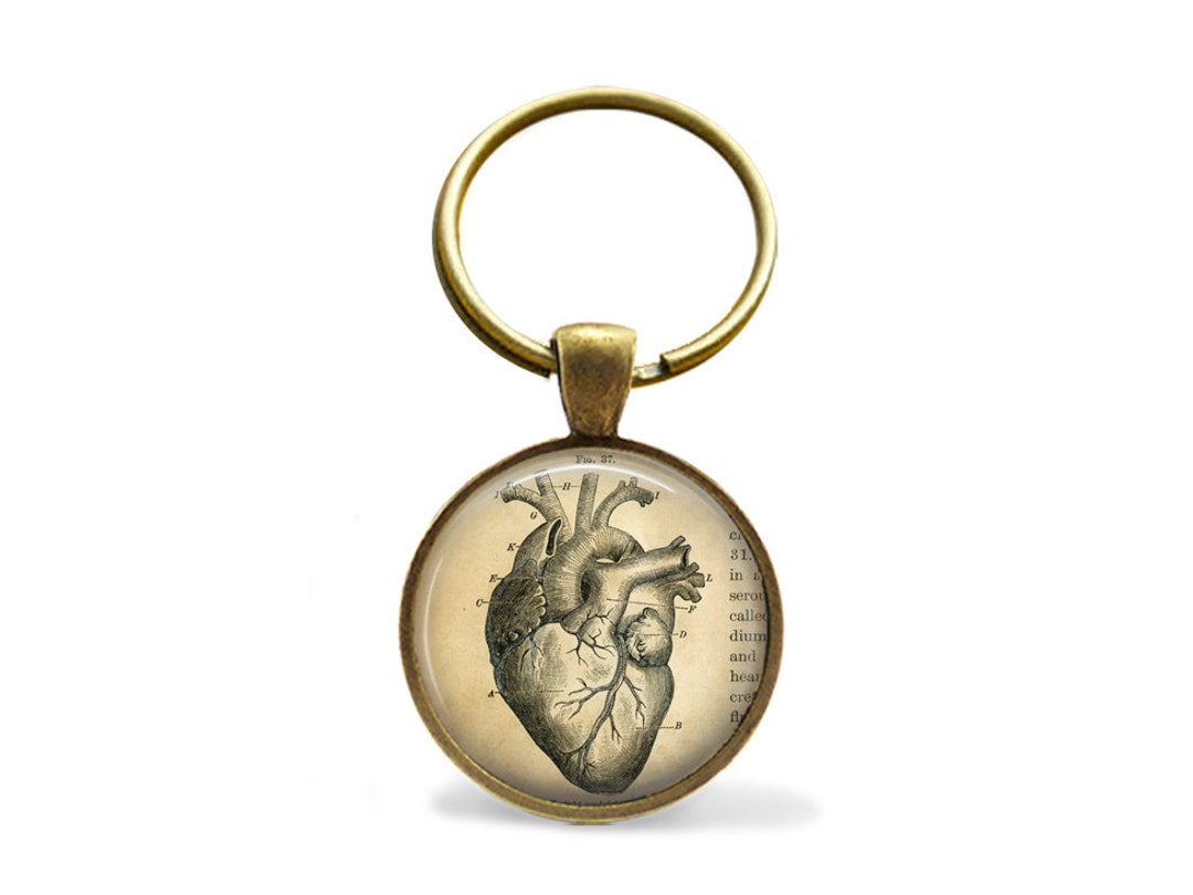 The HEART KEYCHAIN / Vintage Anatomy Keychain / Anatomical Heart Key ...