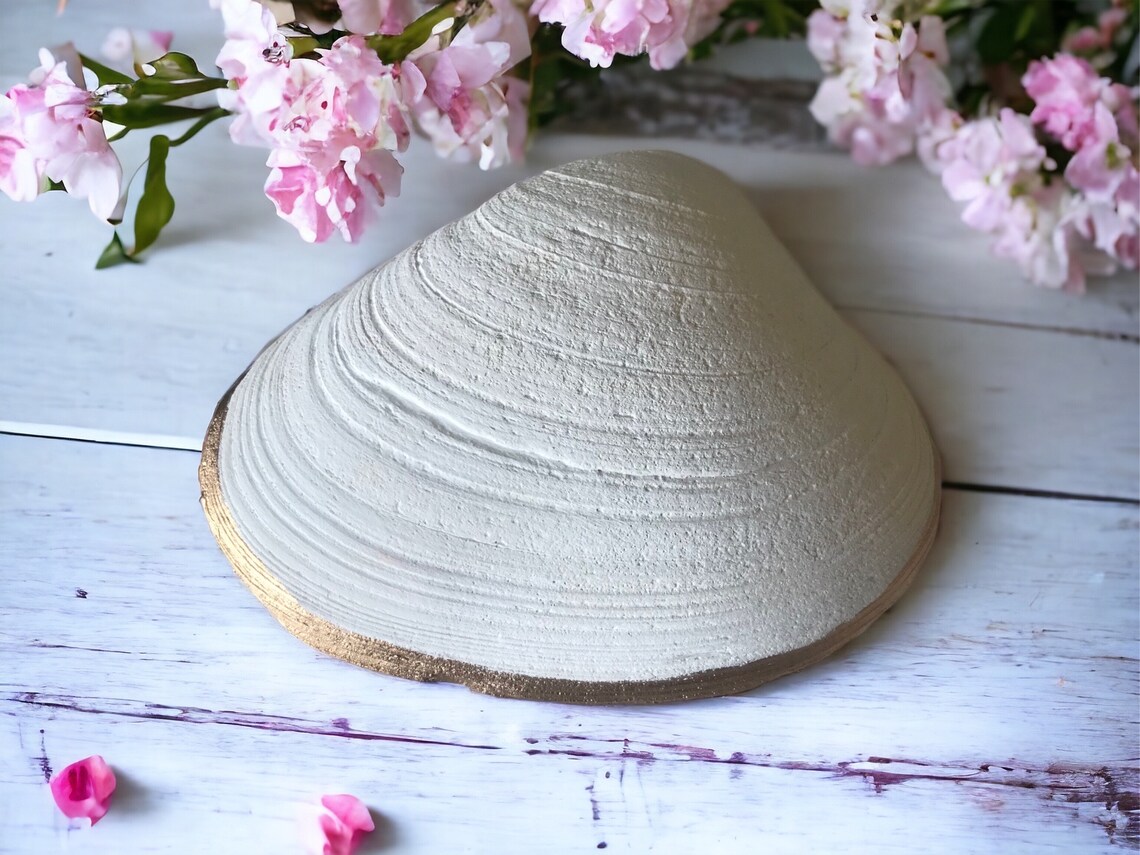 Decoupage Clam Shell Trinket Dish With Genuine Pearl / Bird & Cherry ...