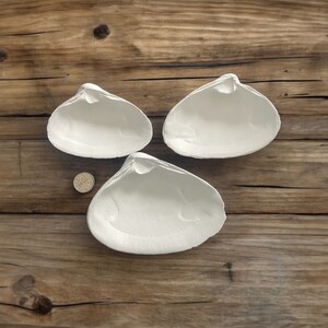 Decoupage Clam Shell Trinket Dish With Genuine Pearl / Bird & Cherry ...