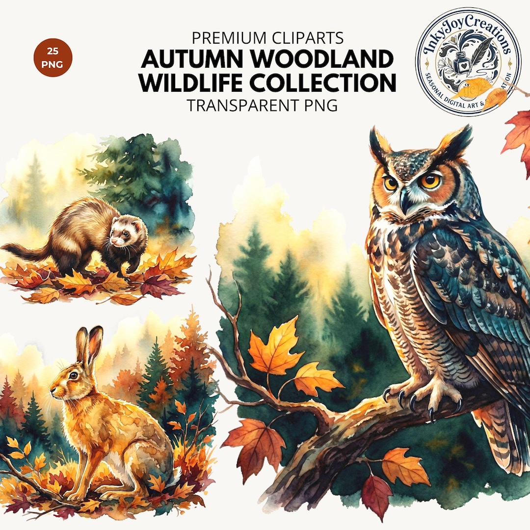 Autumn Woodland Animals Clipart Bundle – 25 Watercolor Forest Animals ...