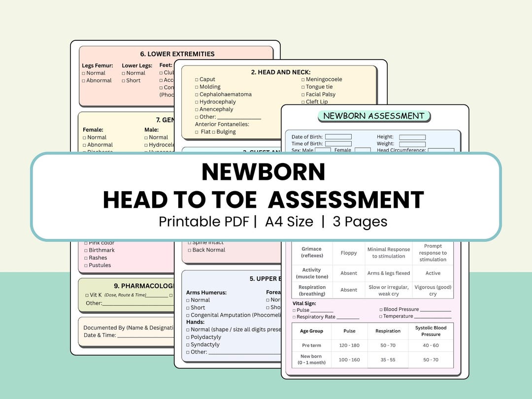 Newborn Head to Toe Assessment Nursing Template, Neonatal Report Sheet ...