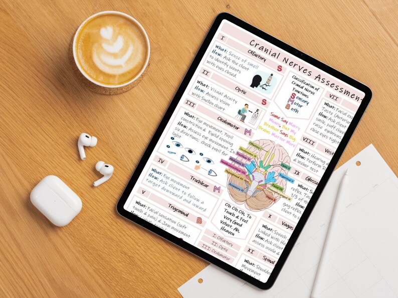 Cranial Nerves Assessment Printable, Colorful Nursing Cheat Sheet (A4 ...