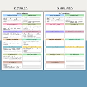 SNF Nurse Report Sheet | Rehab Charting Template (canva, PDF) - Etsy