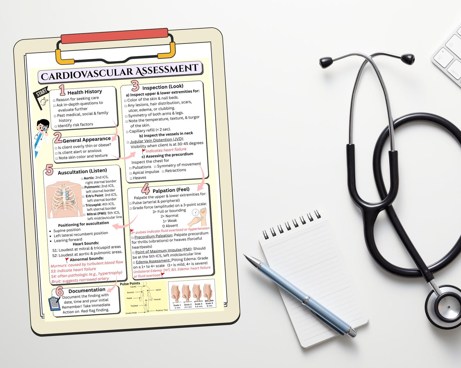 Cardiovascular Assessment Guide | 6-step Physical Exam Cheat Sheet | A4 ...