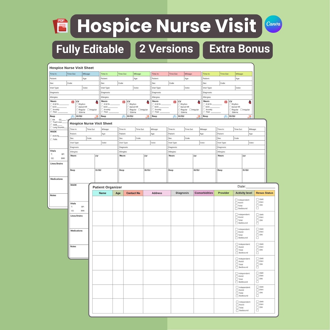 Editable Hospice Nurse Visit Sheet | Home Health Template (canva) - Etsy