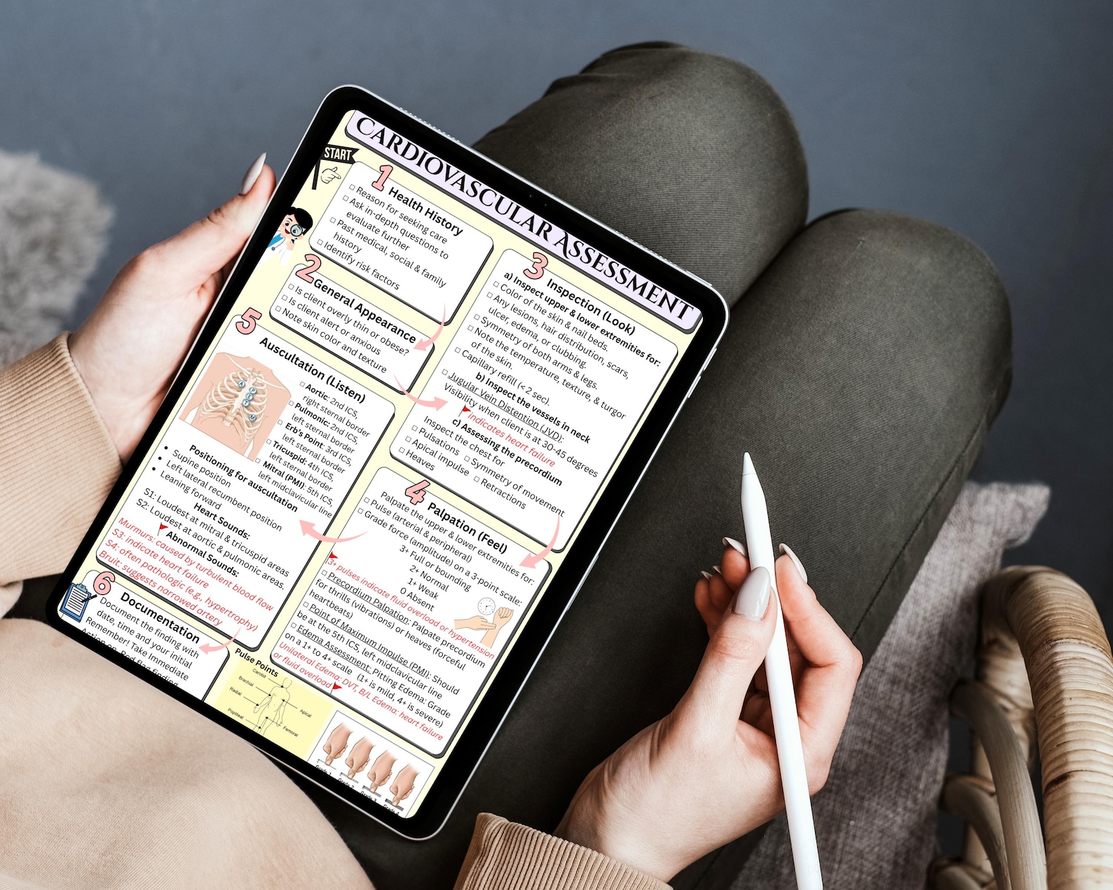 Cardiovascular Assessment Guide | 6-step Physical Exam Cheat Sheet | A4 ...