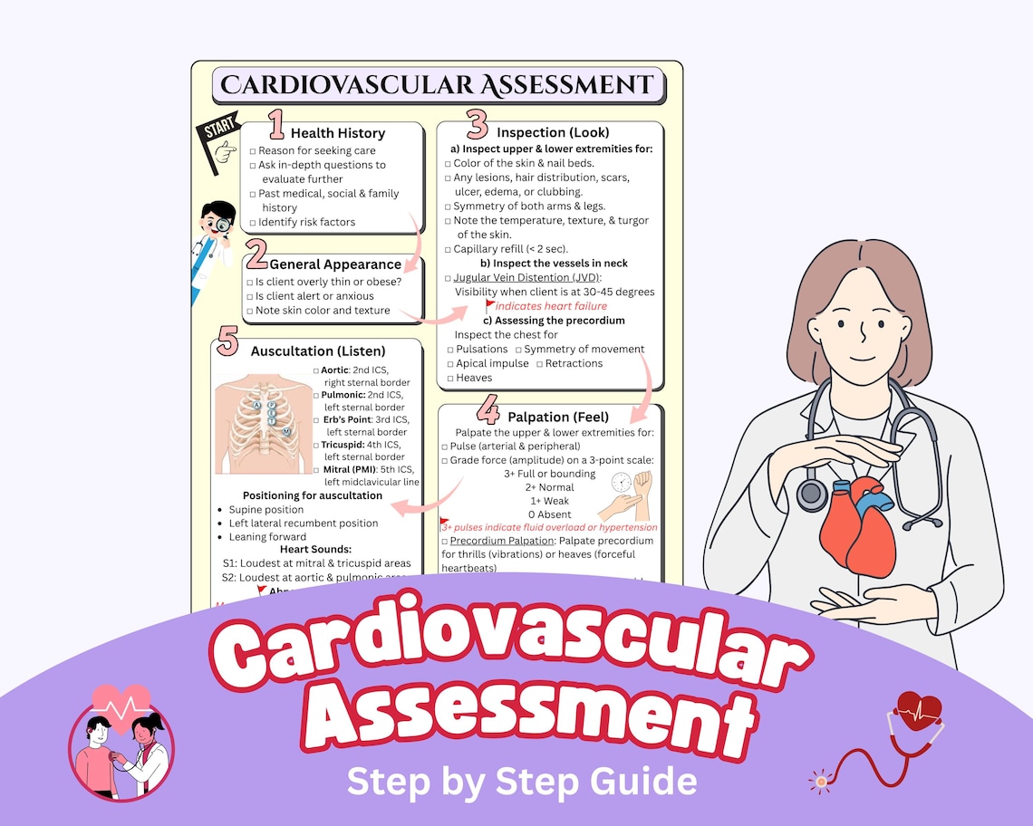 Cardiovascular Assessment Guide | 6-step Physical Exam Cheat Sheet | A4 ...