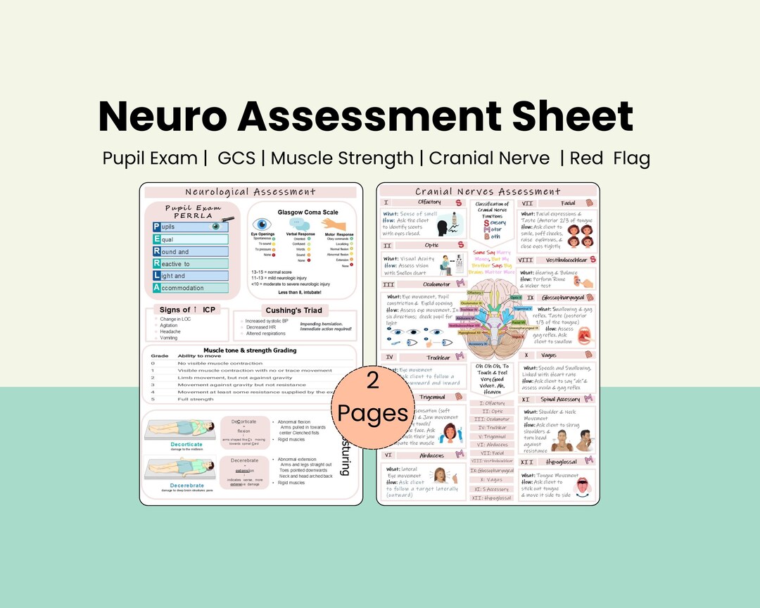 Neuro Assessment Cheat Sheet: Cranial Nerve Exam, GCS (printable PDF ...