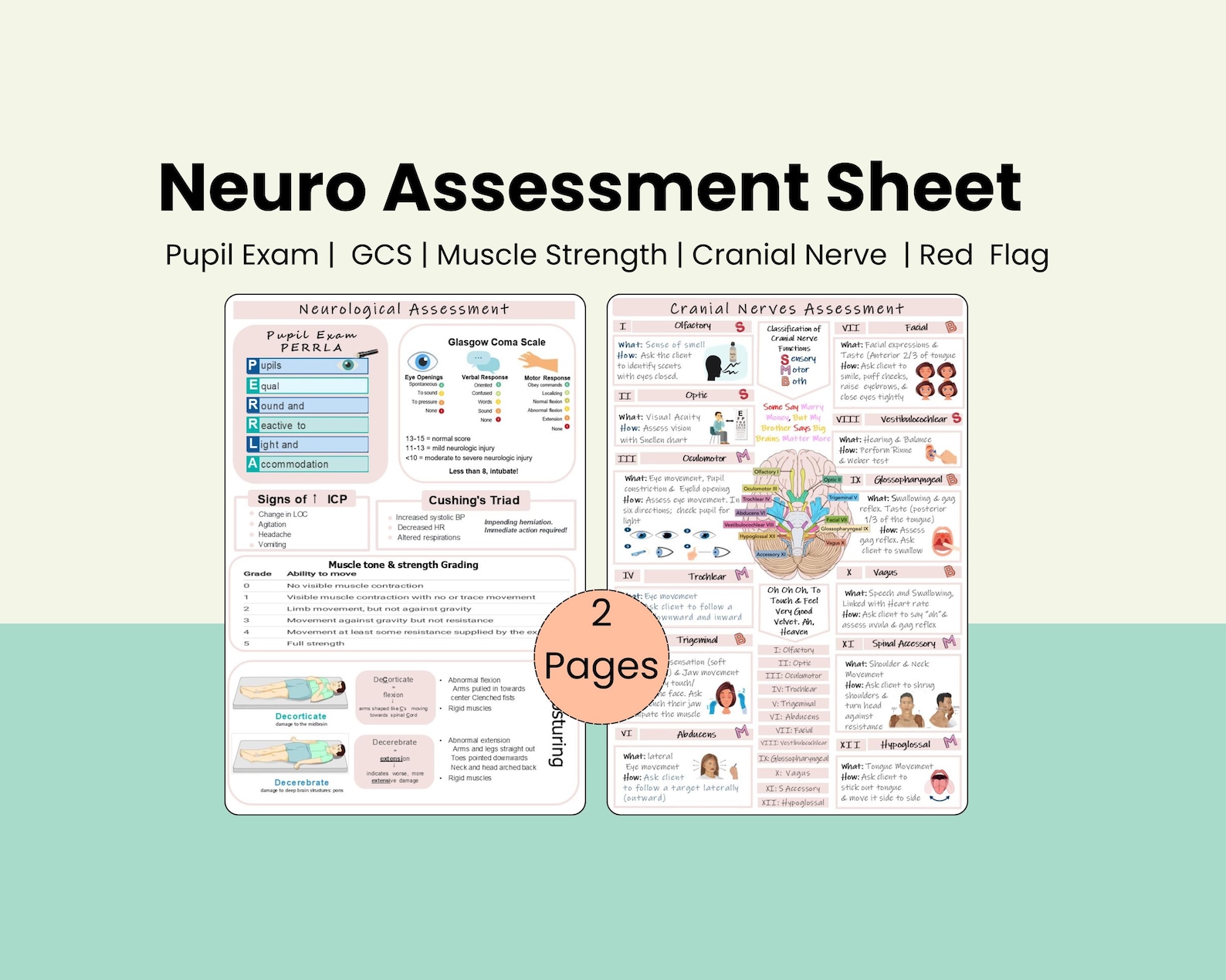 Neuro Assessment Cheat Sheet: Cranial Nerve Exam, GCS (printable PDF ...
