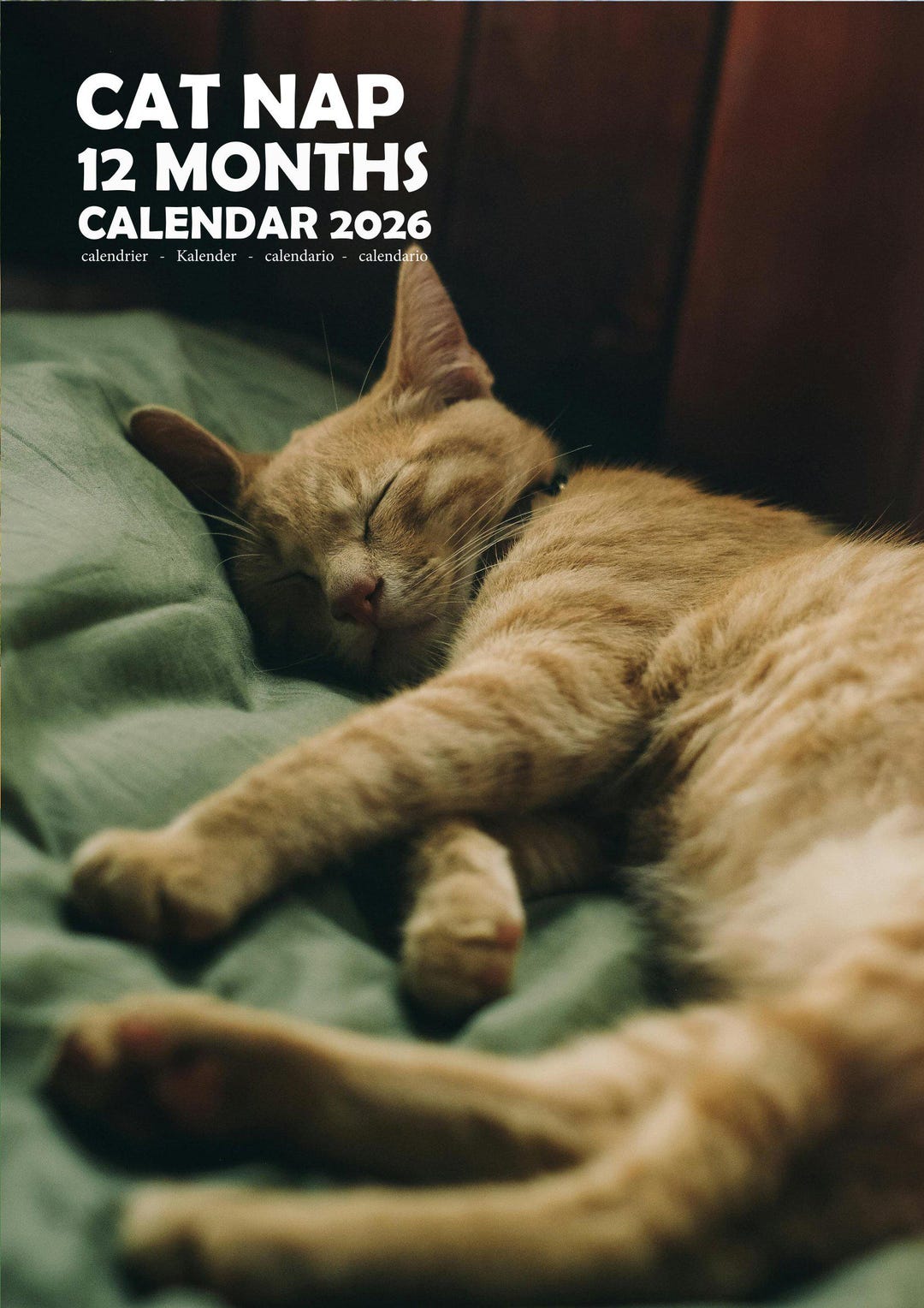 Cat Naps A3 Calendars 2026 (M) - Etsy