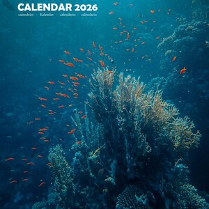 Tropical Fish Calendar 2026 - Etsy UK