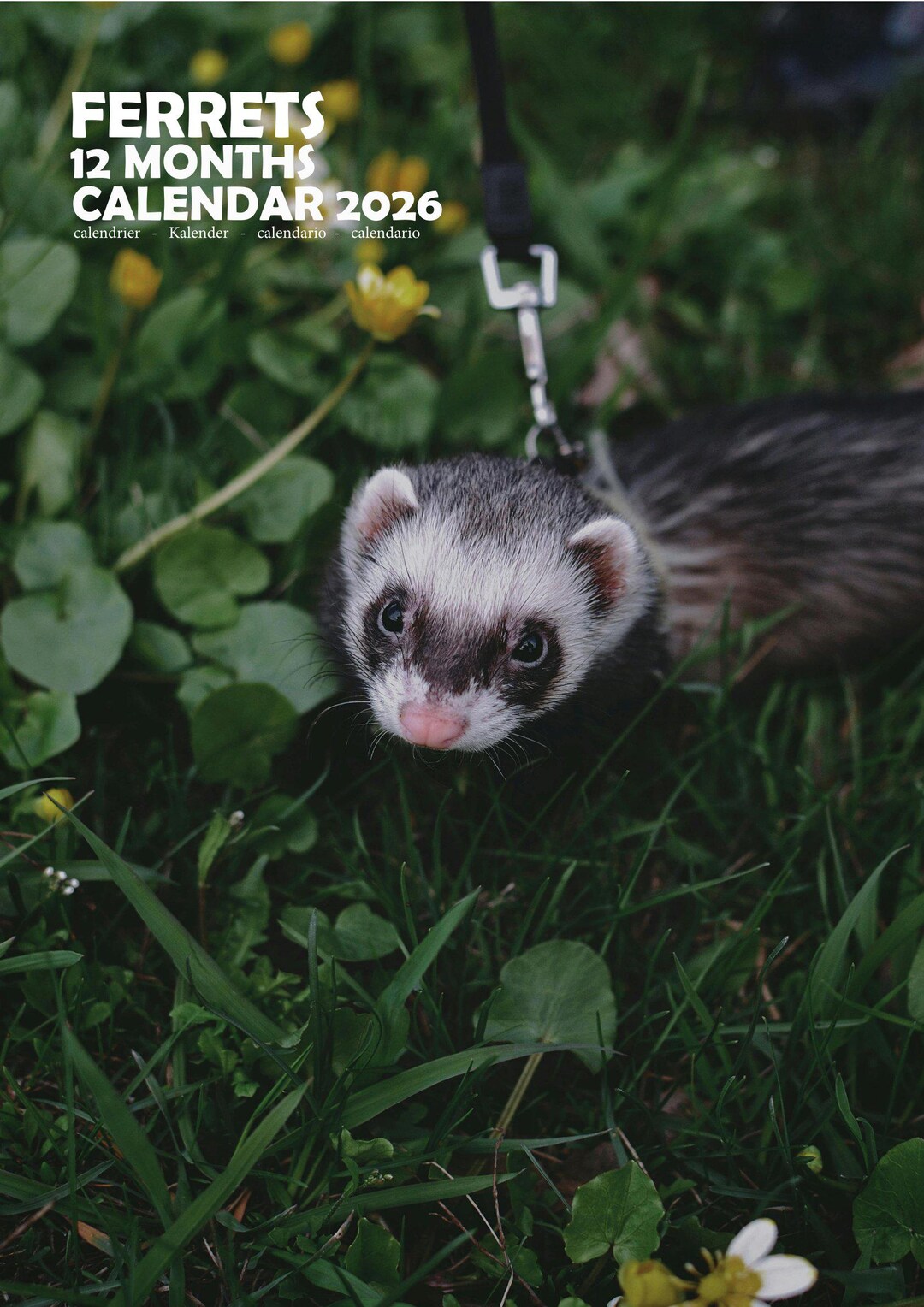 Ferrets A3 Calendars 2026 (M) - Etsy