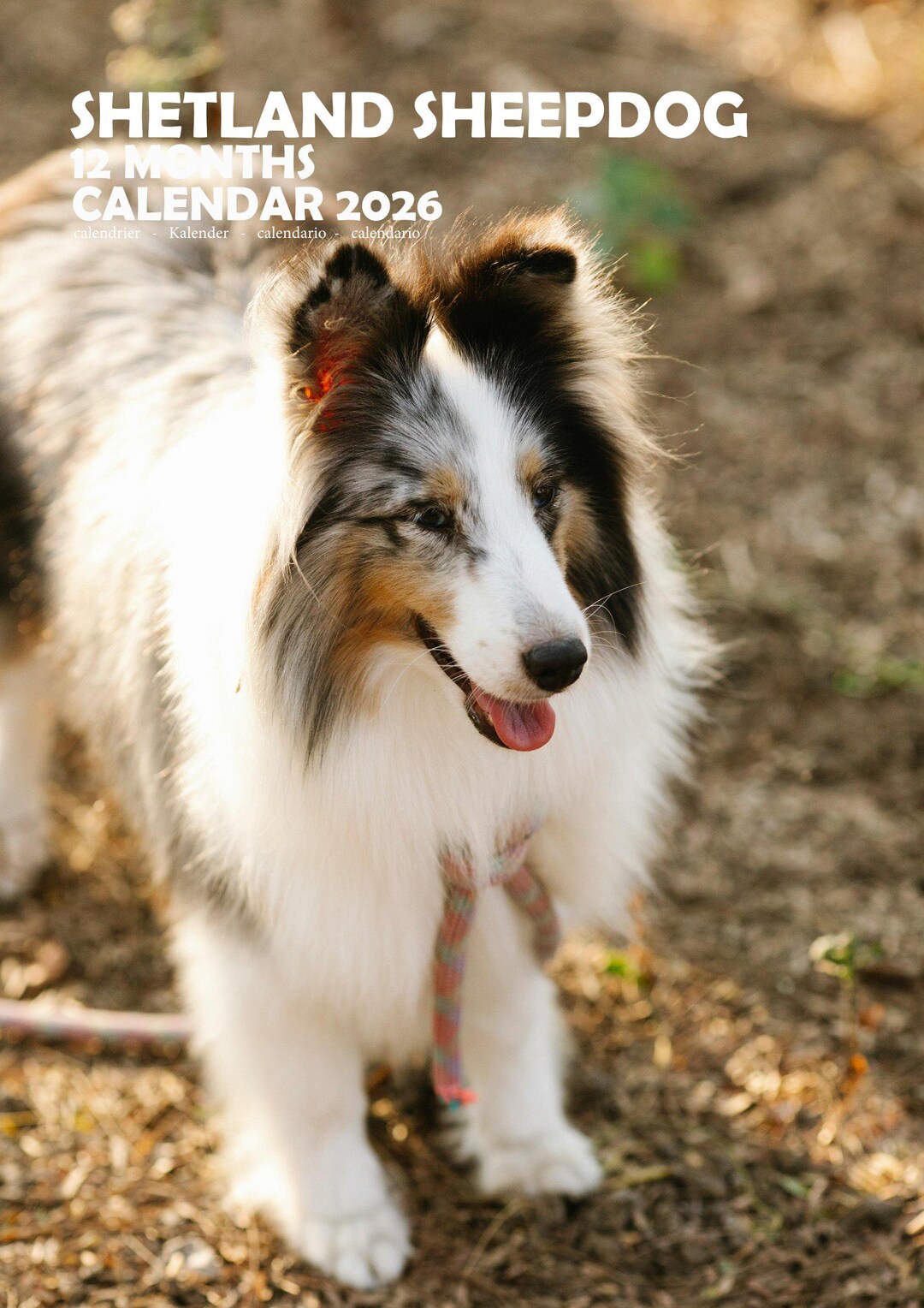 Shetland Sheepdog A3 Calendar (M) - Etsy