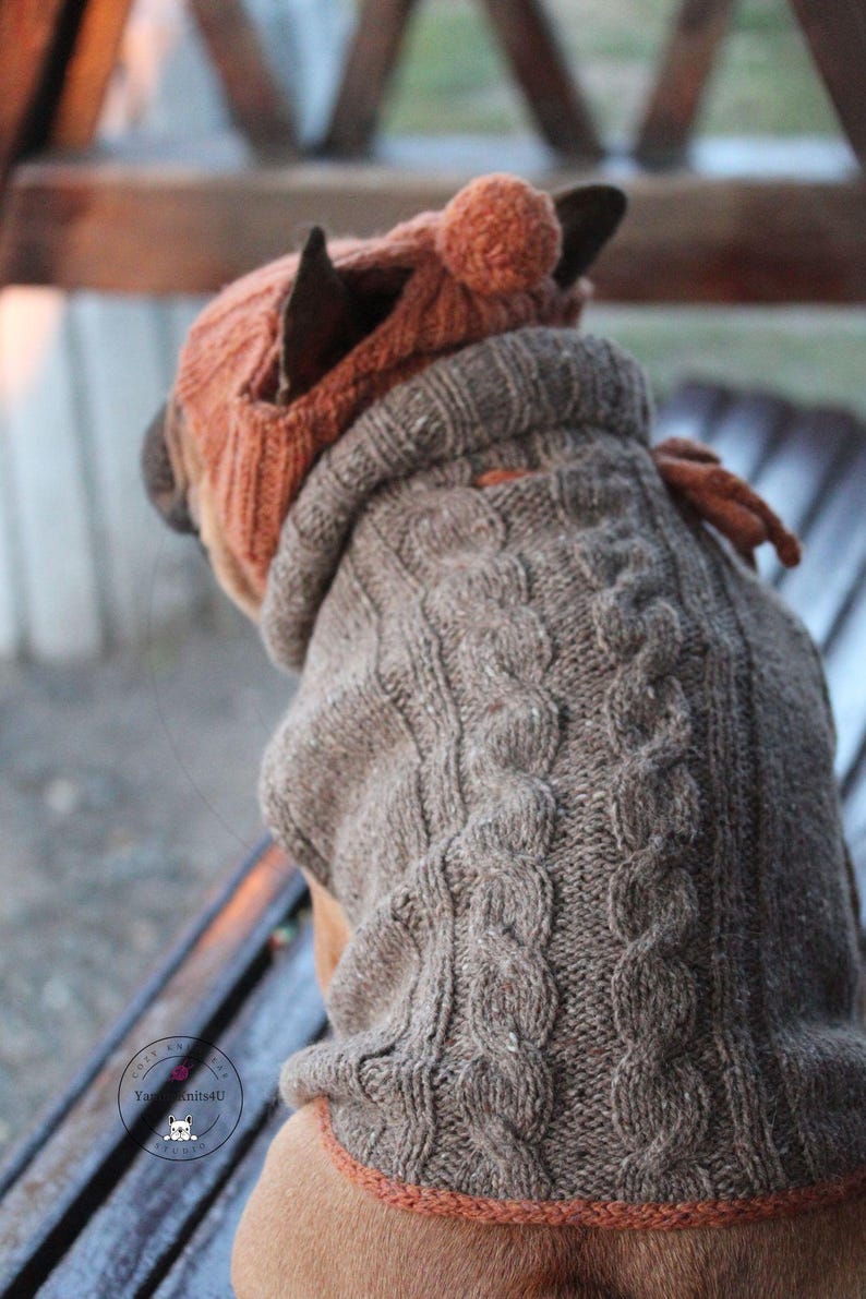 Knitting Pattern PDF: French Bulldog Tweed Hat (S/M, M/L Digital ...