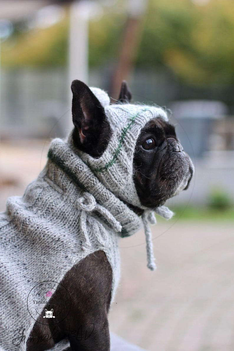 Knitting Pattern PDF: French Bulldog Tweed Hat (S/M, M/L Digital ...