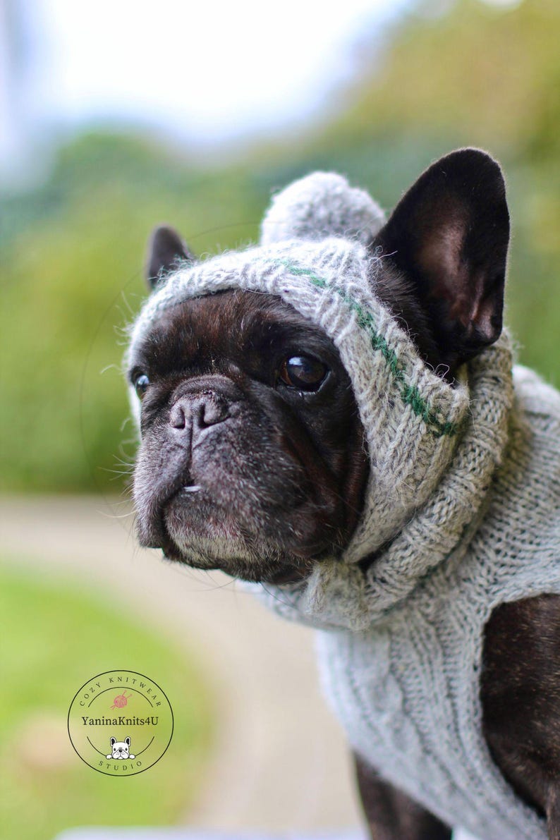 Knitting Pattern PDF: French Bulldog Tweed Hat (S/M, M/L Digital ...