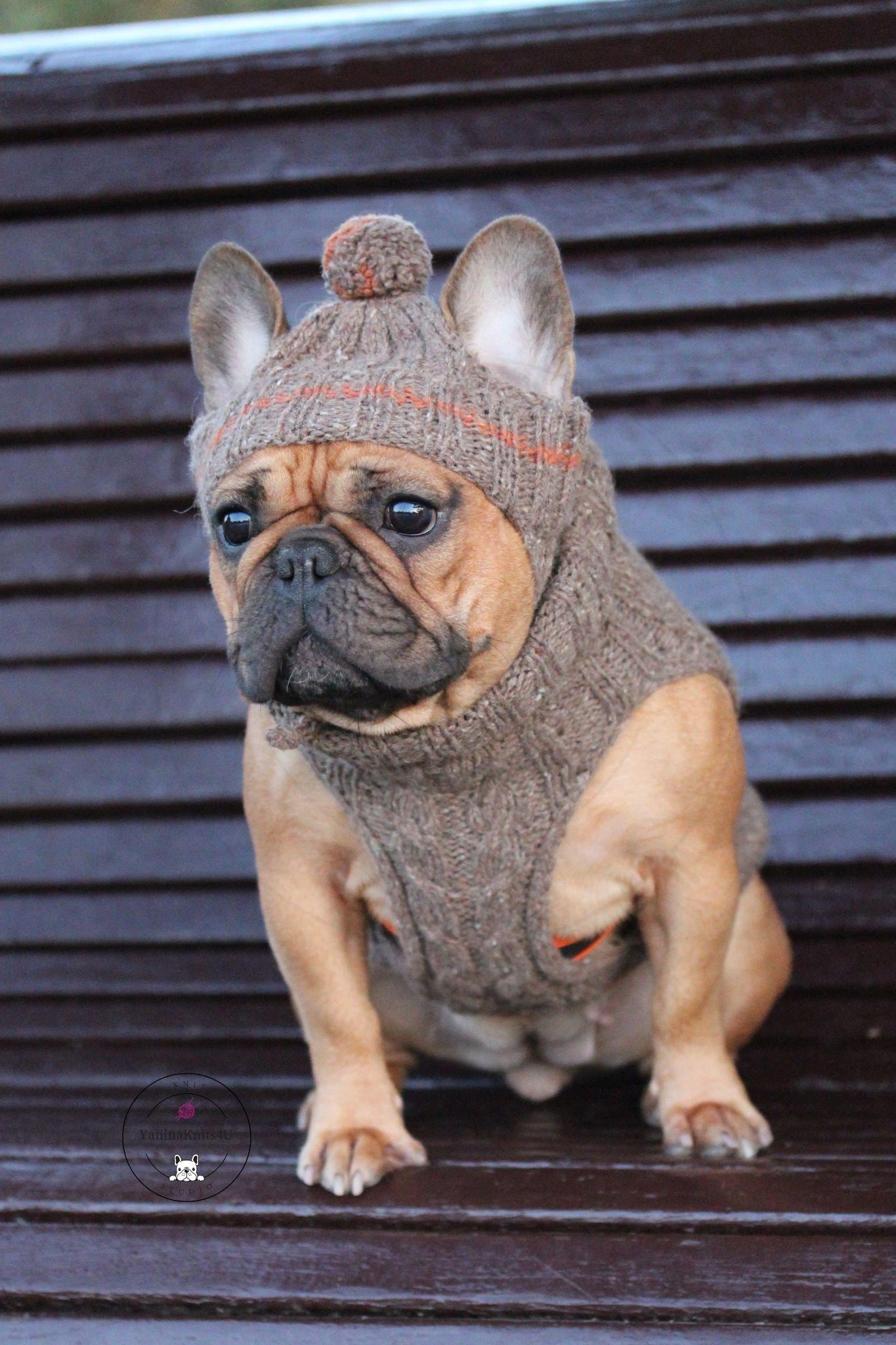 Knitting Pattern PDF: French Bulldog Tweed Hat (S/M, M/L Digital ...