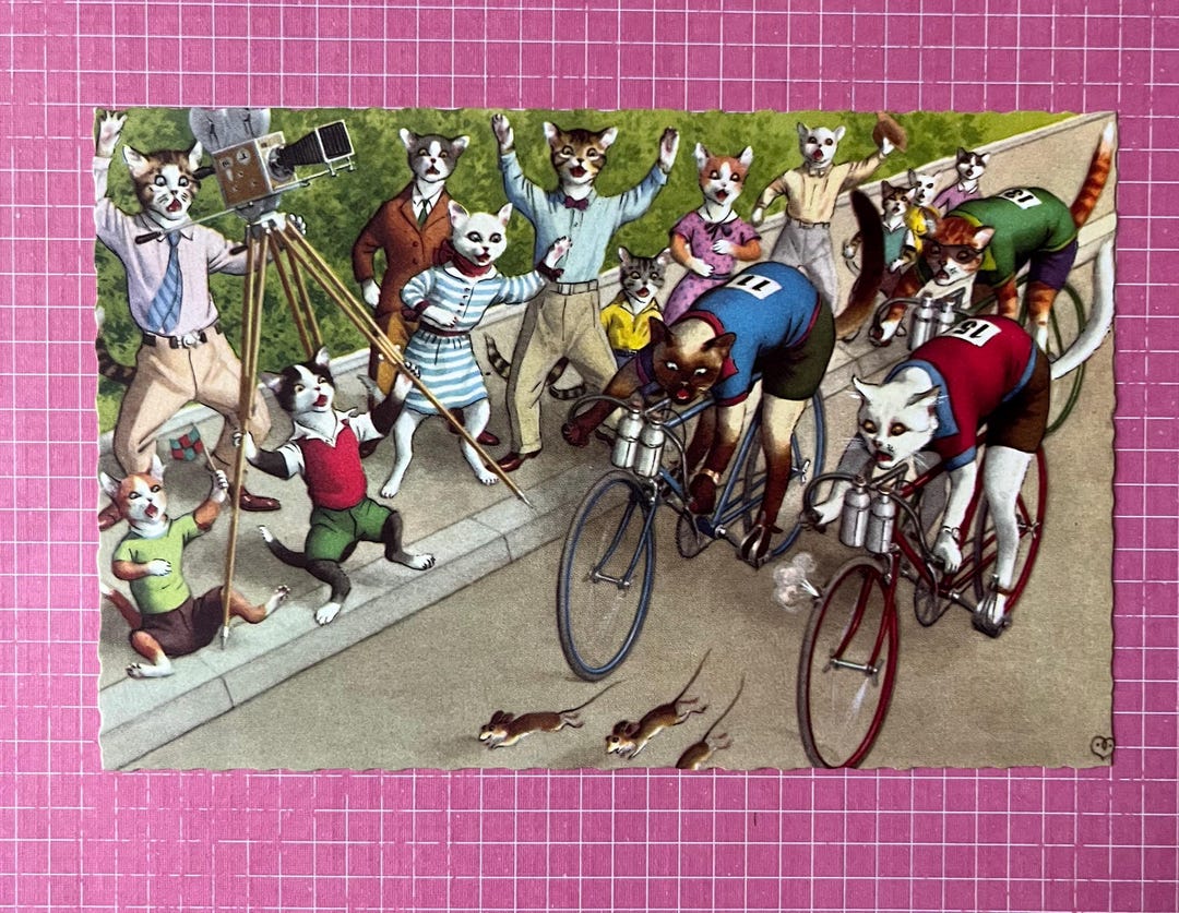 Vintage Postcard Anthropomorphic Cats Mainzer the Bicycle Race ...