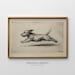 Vintage Running Dog Print, Antique Terrier Sketch, Puppy Zoomies Art ...