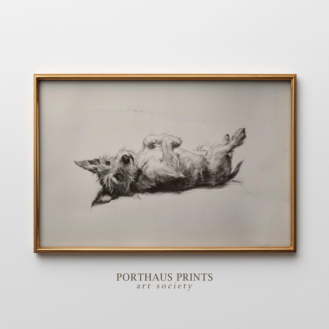 Vintage Scruffy Terrier Dog Sketch, Antique Pet Drawing, Whimsical ...