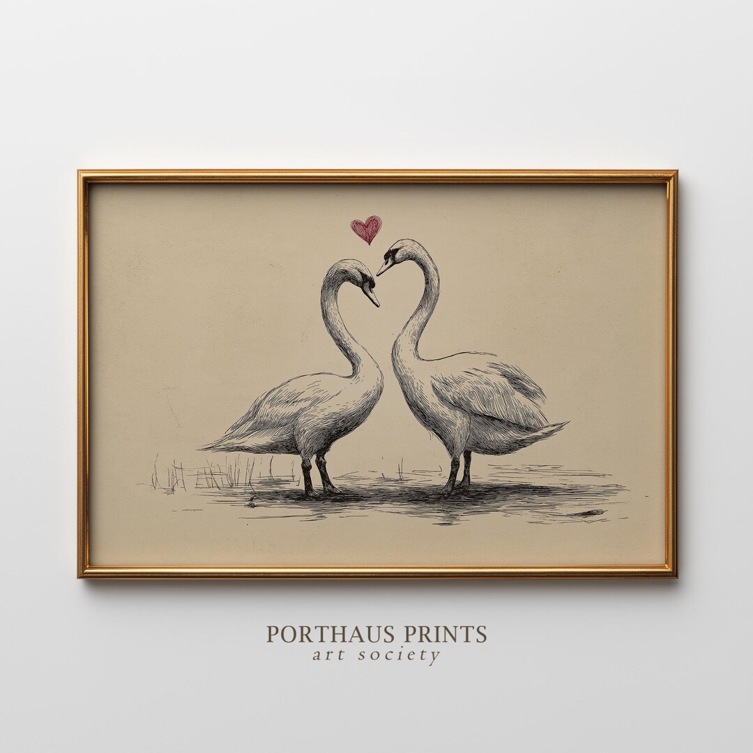 Swans in Shallow Water: Antique Sketch Printable Wall Art, Love Birds ...