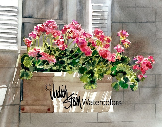 Ivy Geranium Window Box